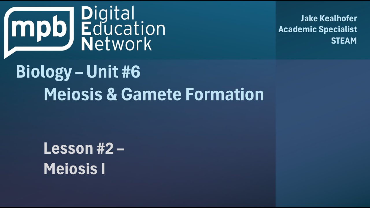 MPB Biology Unit 6 Lesson 2: Meiosis I - YouTube
