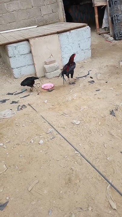 January 30, 2024 - YouTube