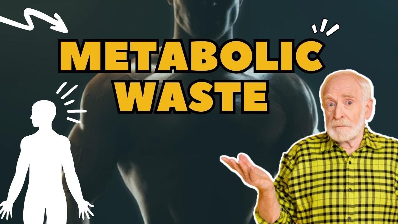 What Are Metabolic Waste Products at Adrian Grounds blog