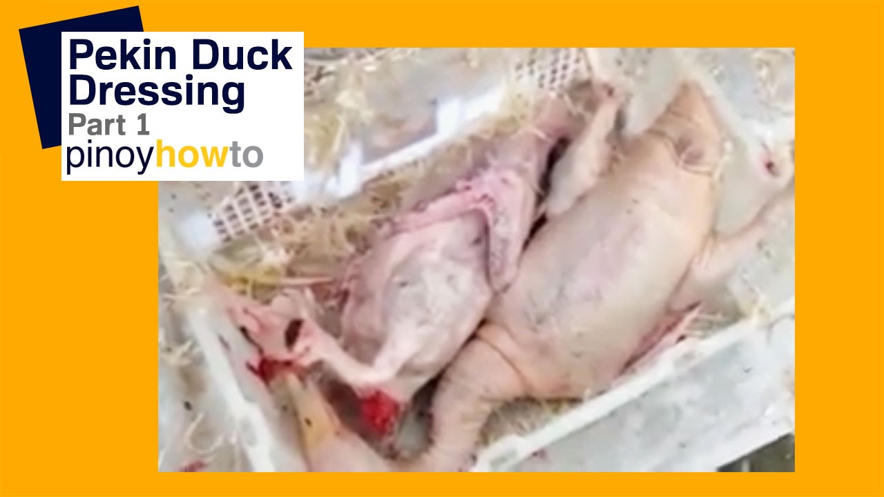 How to dress Pekin Duck 2 | PinoyHowTo - YouTube