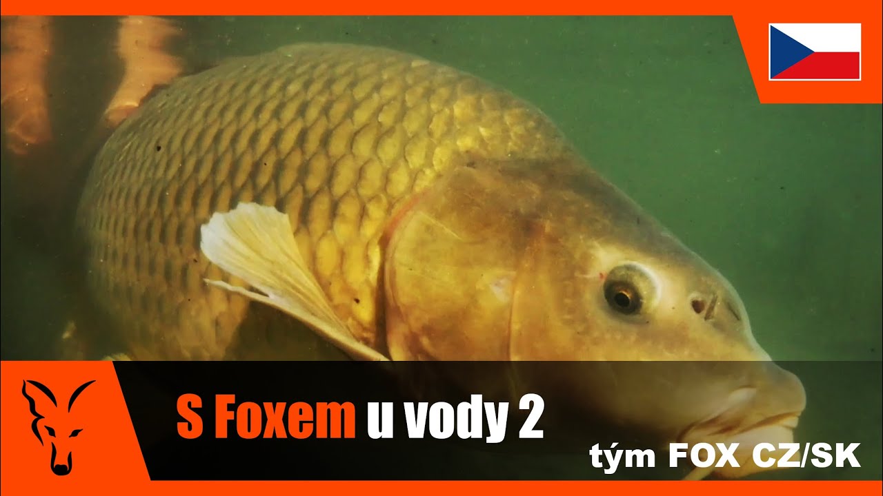 ***Fox CARP FISHING CZ&SK*** - S Foxem u vody 2 - YouTube
