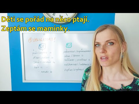 Use of se & si in a Nutshell 🌰 Czech Reflexive Verbs Part 1