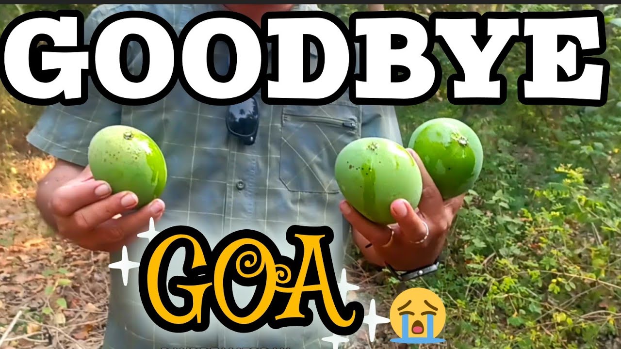 Time to say Goodbye! #GOA - YouTube