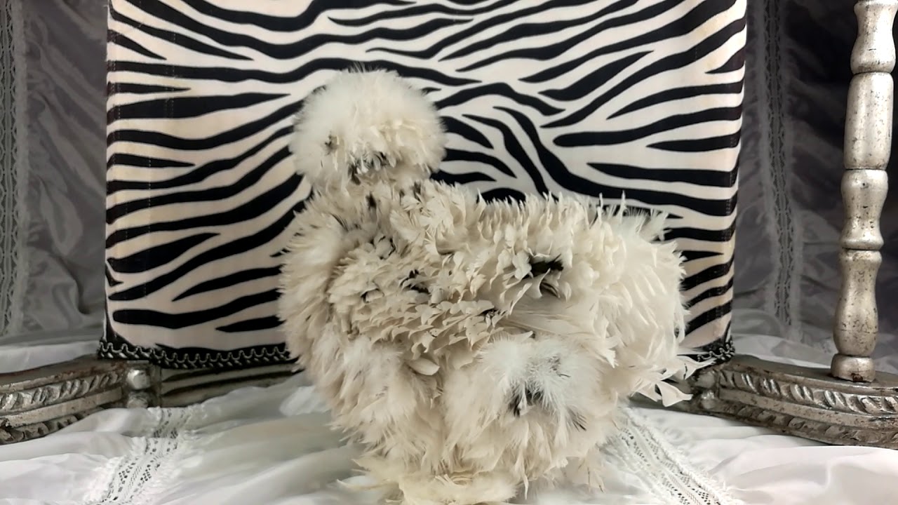 Satin frizzle paint - YouTube