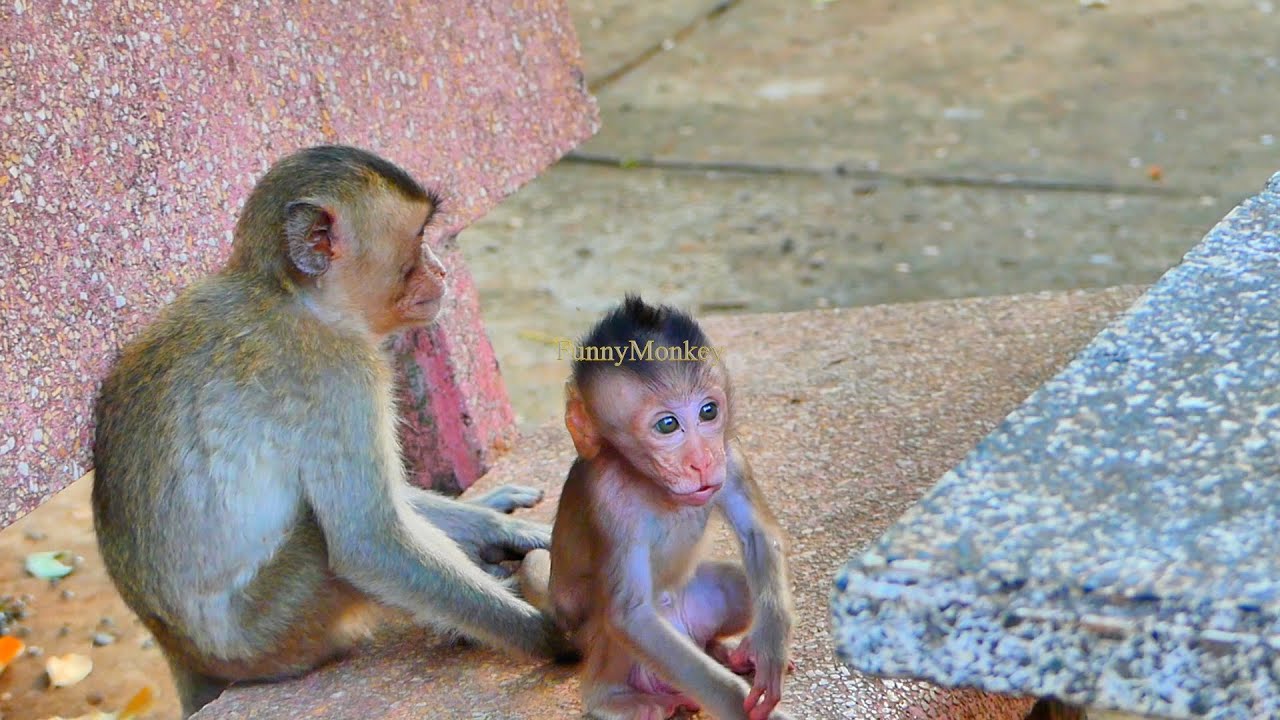 Cute baby SAM is very loved by his daddy | he always plays near his dad ...