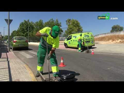 Campaña anual de limpieza de imbornales en las calles de Gines