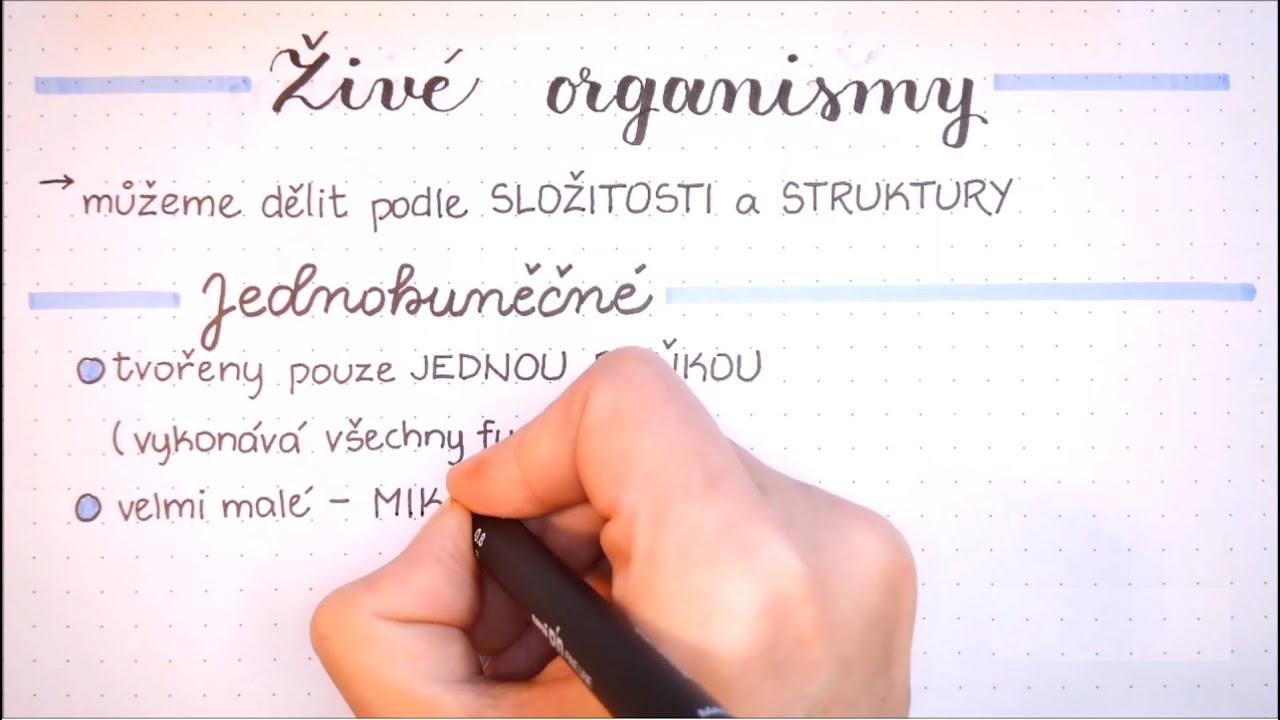 Jednobuněčné a mnohobuněčné organismy - YouTube