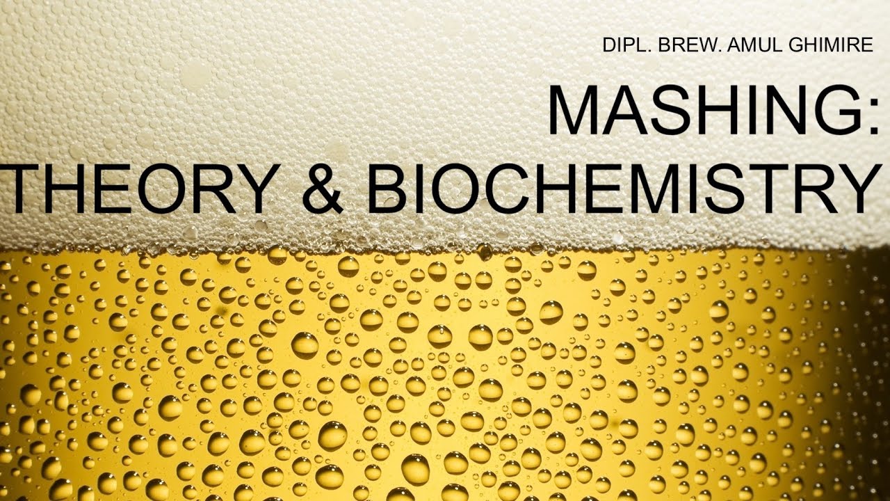 BREWING BEER: MASHING THEORY & BIOCHEMISTRY - YouTube