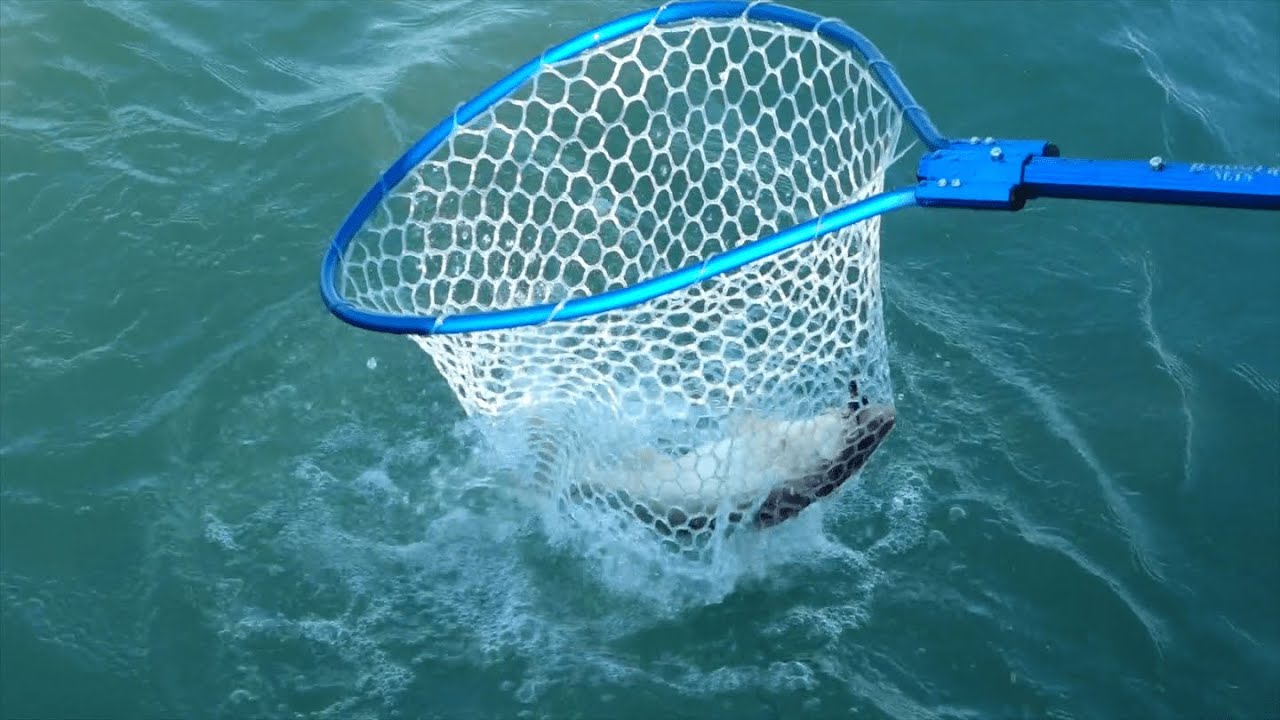 Ranger Rubber Landing Net - YouTube