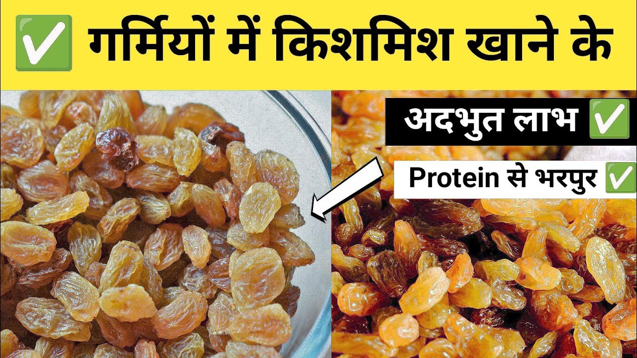 किसमिस खाने के फायदे अद्भुत है 🤫💪The benefits of eating raisins are ...