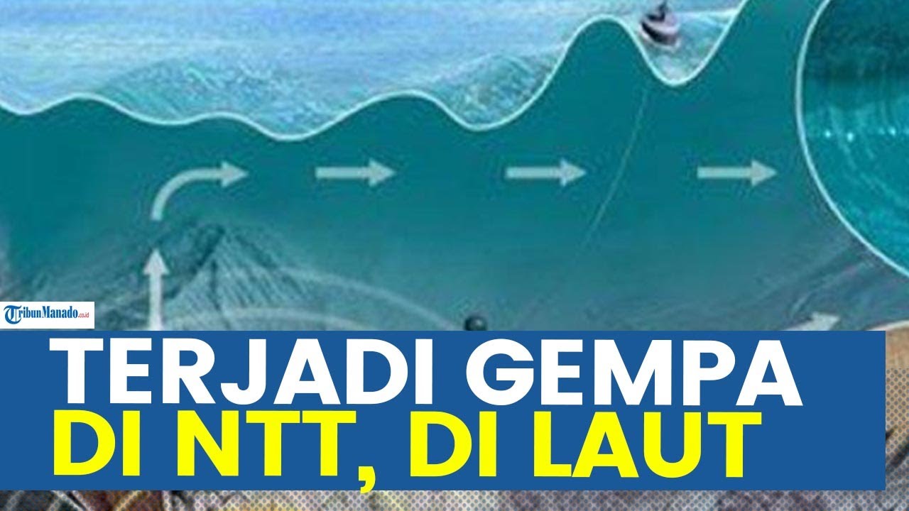 LAUT NTT DIGUNCANG GEMPA SENIN 25 NOVEMBER 2024, INFO BMKG BERPUSAT DI ...