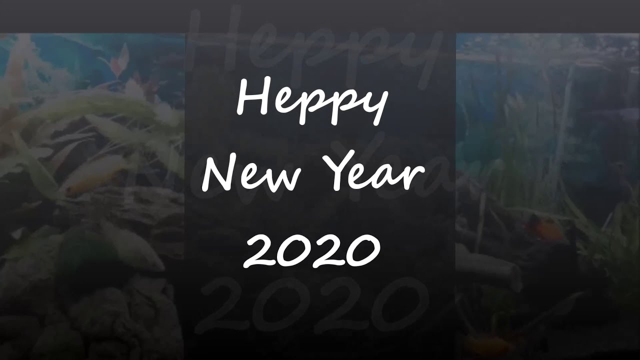 Szczęśliwego Nowego Roku 2020 - YouTube