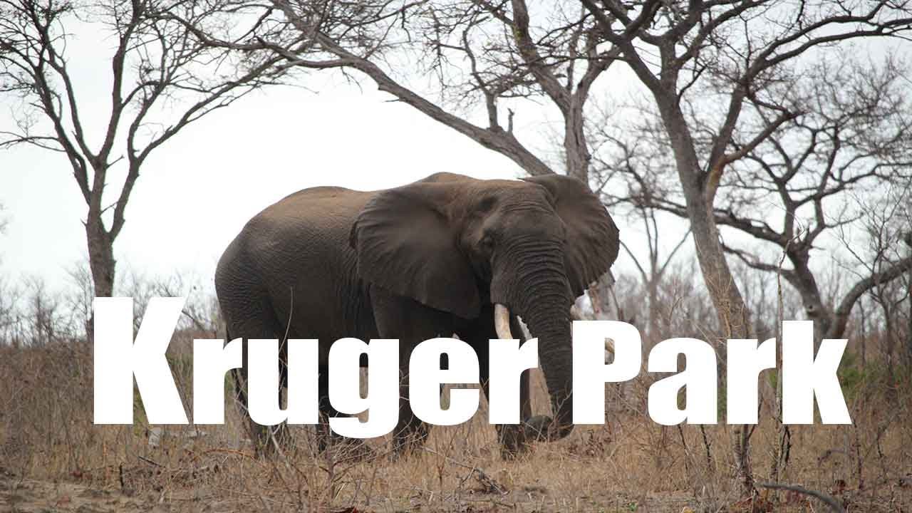 Kruger Park Safari, South Africa | Canon HD | Virtual Trip - YouTube