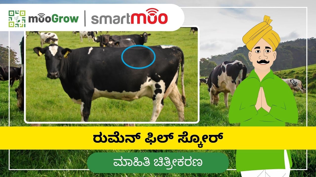 ರುಮೆನ್ ಫಿಲ್ ಸ್ಕೋರ್ | RUMEN FILL SCORE - YouTube