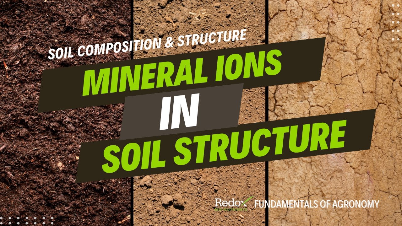 FUNDAMENTALS: Soil Composition & Structure - Mineral Ions - YouTube