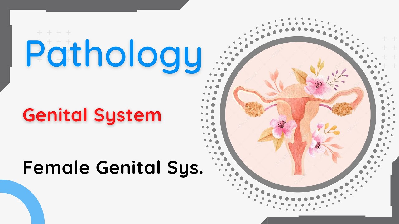 Pathology | Reproductive System | Female Genital System - YouTube