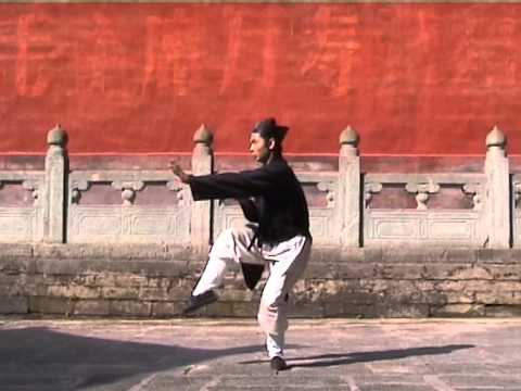 Wudang Ji Ben, Xuan Gong and Fu Hu Quan - YouTube