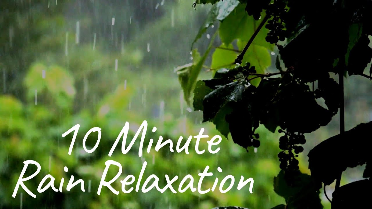 Rain Relaxation | 10 Minute Relaxation/Meditation | Relaxing Rain for ...