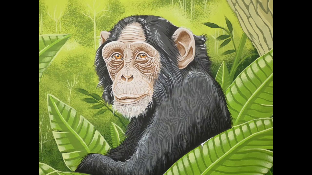 Painting a Chimpanzee Mural - YouTube