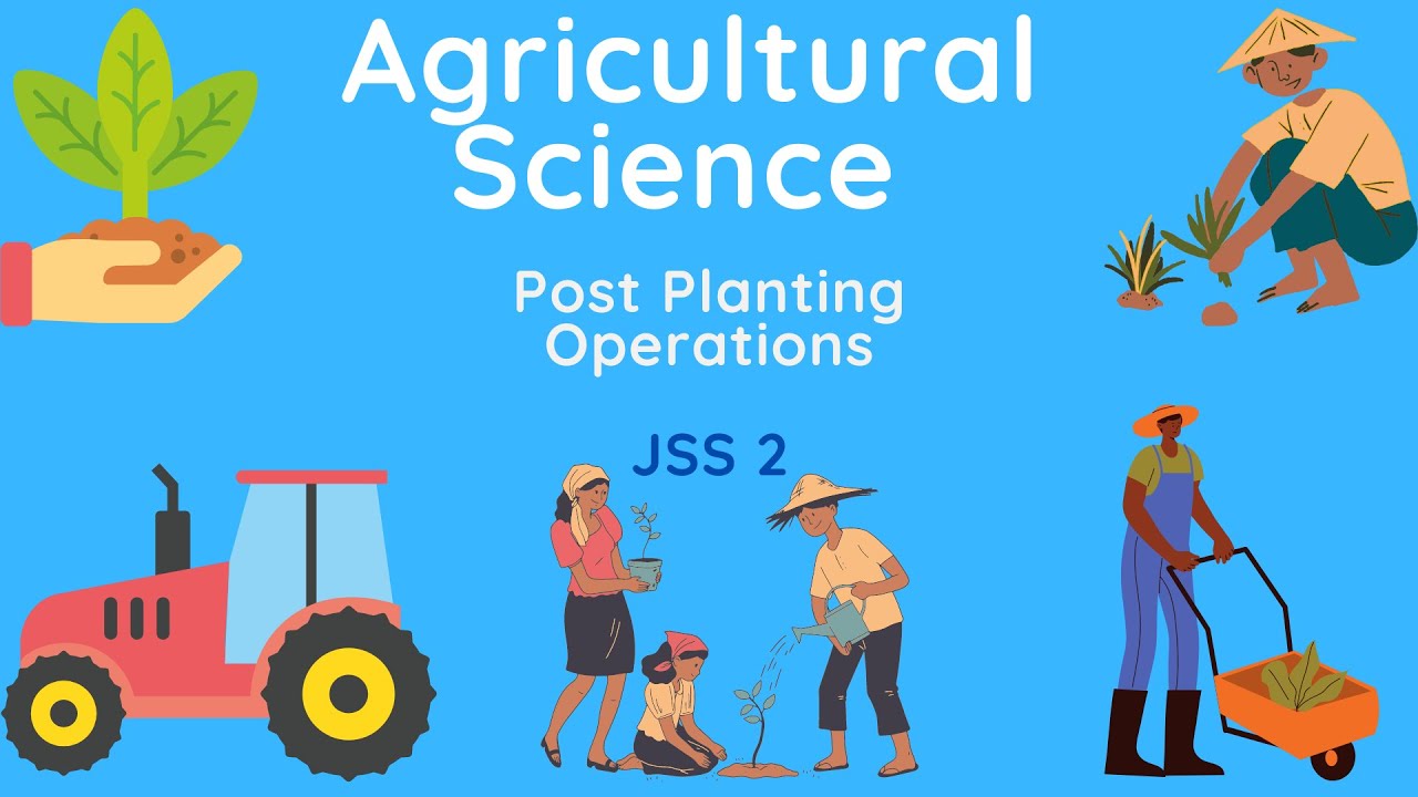 07 - Agricultural Science | J.S.S.2 | Post Planting Operations - YouTube