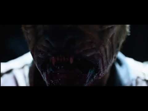 LEWIS SANTER - STUNT/COMBAT REEL