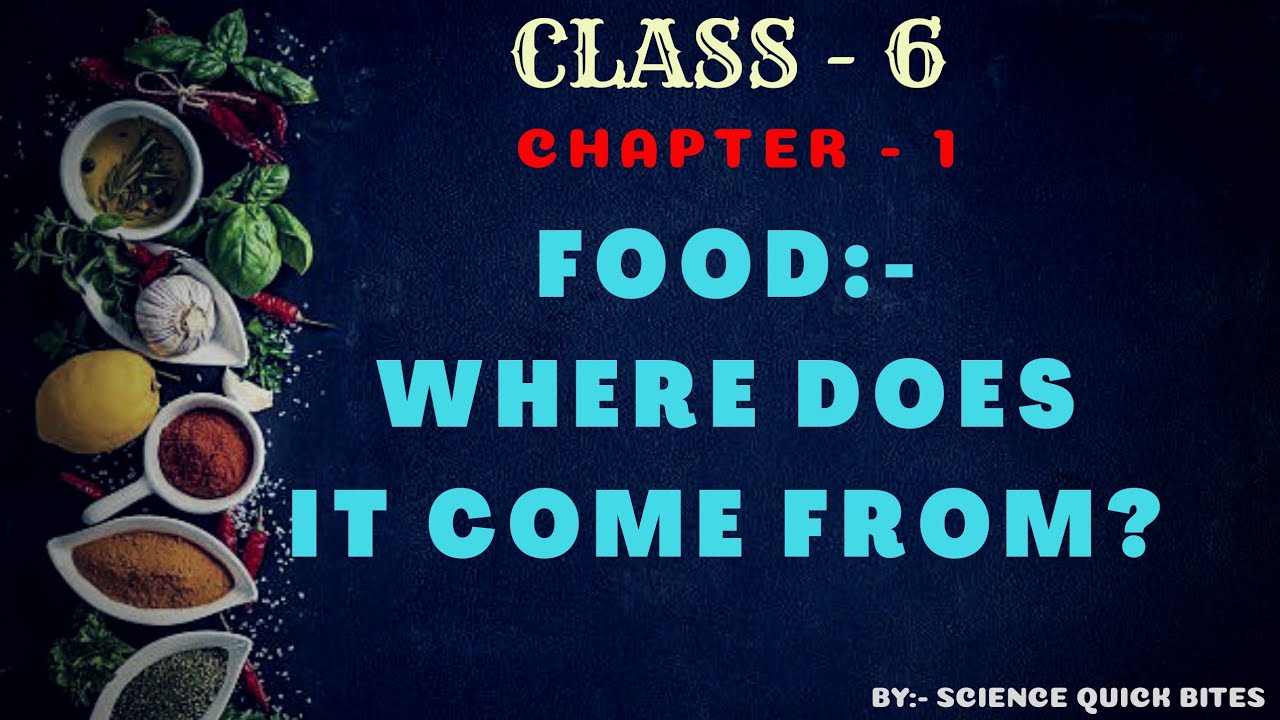 FOOD Where Does It Come From Handwritten Notes CLASS 6 CHAPTER 1 food-where-does-it-come-from-handwritten-notes-class-6-chapter-1