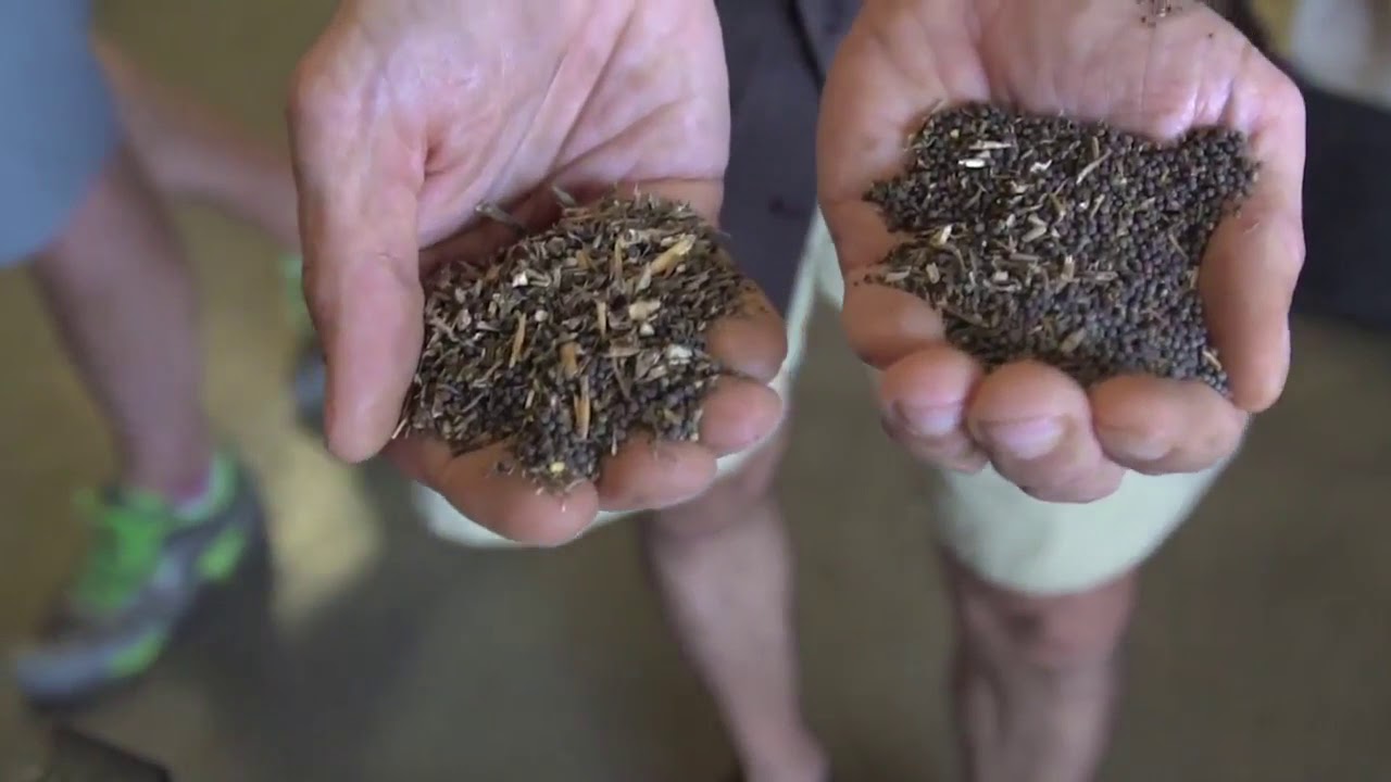 Rain International The Power of the Seed Nutrition - YouTube