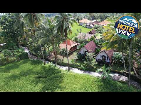 Damuh Pertivi, River and Rice Fields View | Bali, Indonesia | Hotel Review 🌟