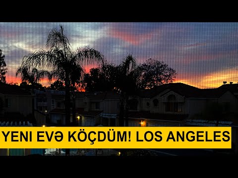 Yeni Evə Köcdüm! Los Angeles / 19 gündə yığdığım videolar / Royal Ismayilov May 02 / 2020
