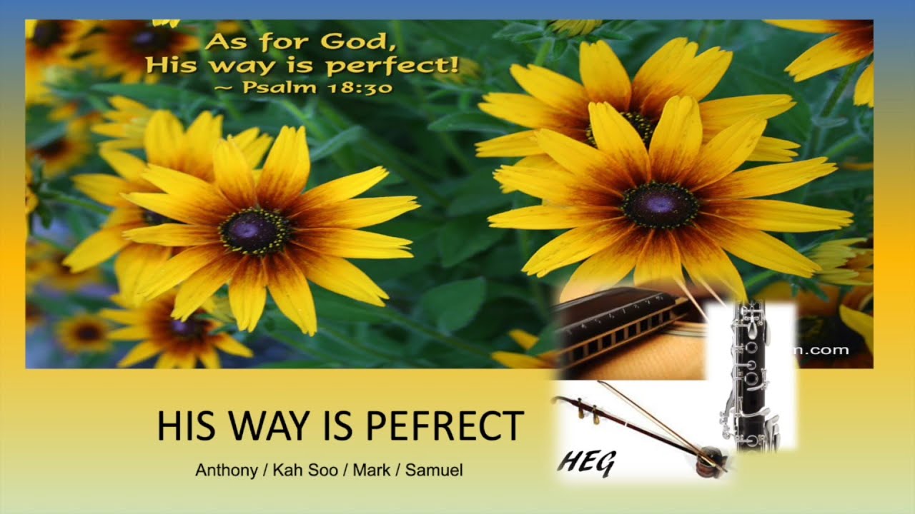 His Way is Perfect - YouTube