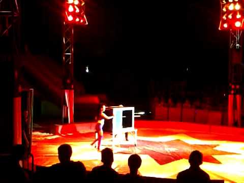 circus, magic trick box!! - YouTube