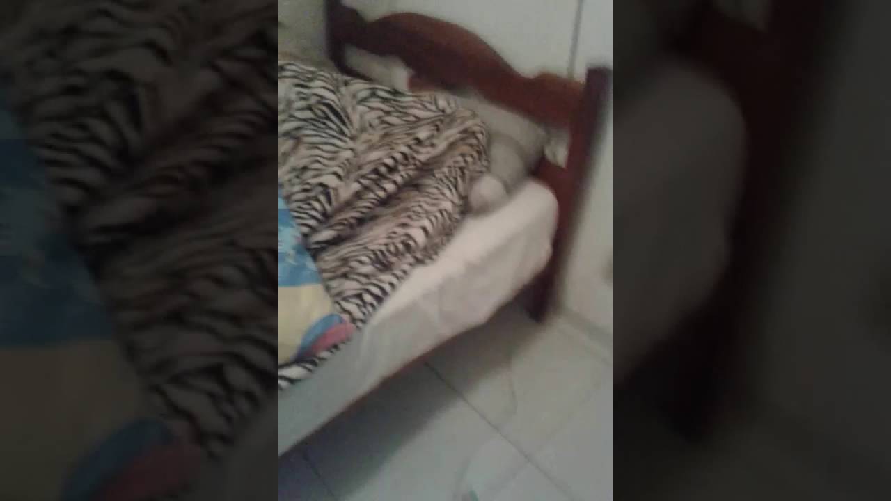 Acordando Meu Irmão Youtube