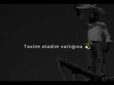 Elə sevdim ki onun