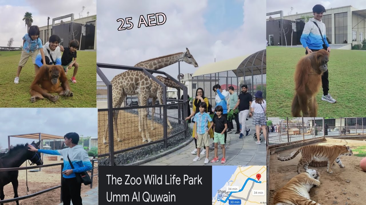 Uae Tourist places.The Zoo Wild Life Park Umm Al Quwain (Ticket price ...
