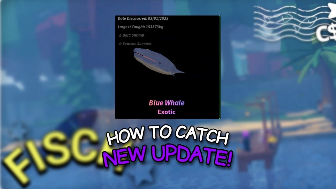 How to catch the new BLUE WHALE in fisch! #fisch 🐳 - YouTube