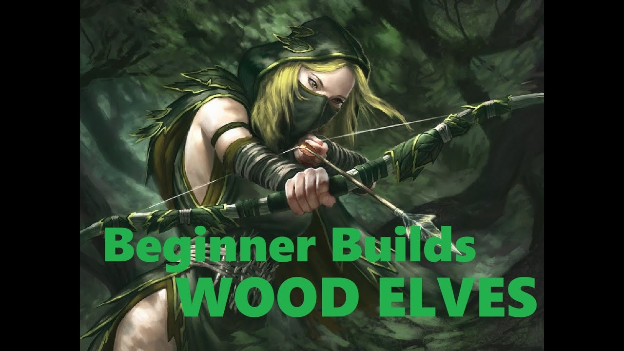 Wood Elves | Warhammer 3 Beginner Builds - YouTube