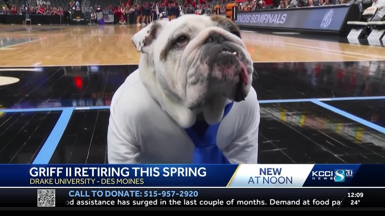 Drake's beloved live mascot, Griff II, retiring this spring - YouTube