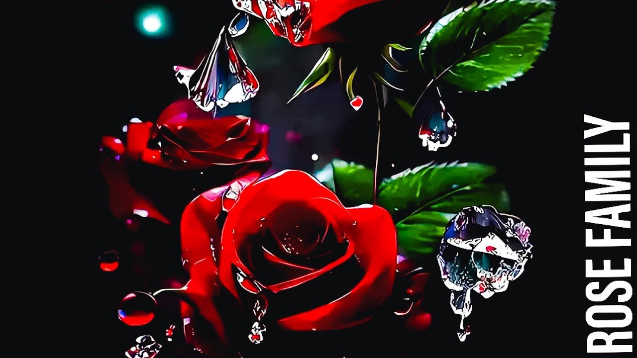 GENERAL GAZA-ROSE FAMILY [OFFICIAL AUDIO] PROD. BY. MR FLIPZ - YouTube