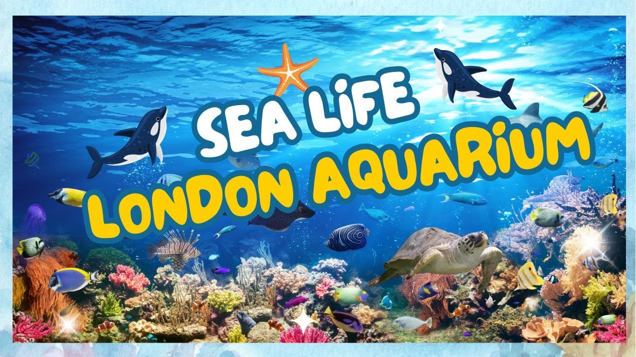 Inside SEA LIFE London Aquarium in 4K | Must Visit Place in UK London ...