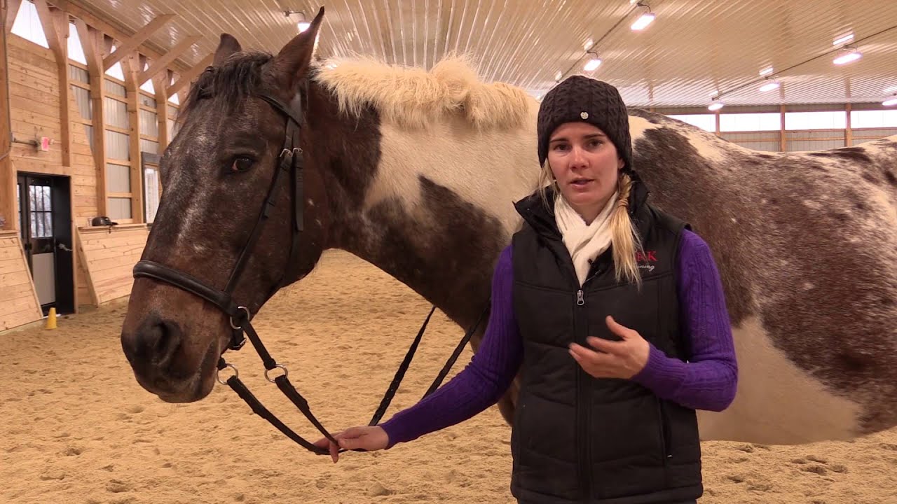 Riding with Bitless Bridles - YouTube