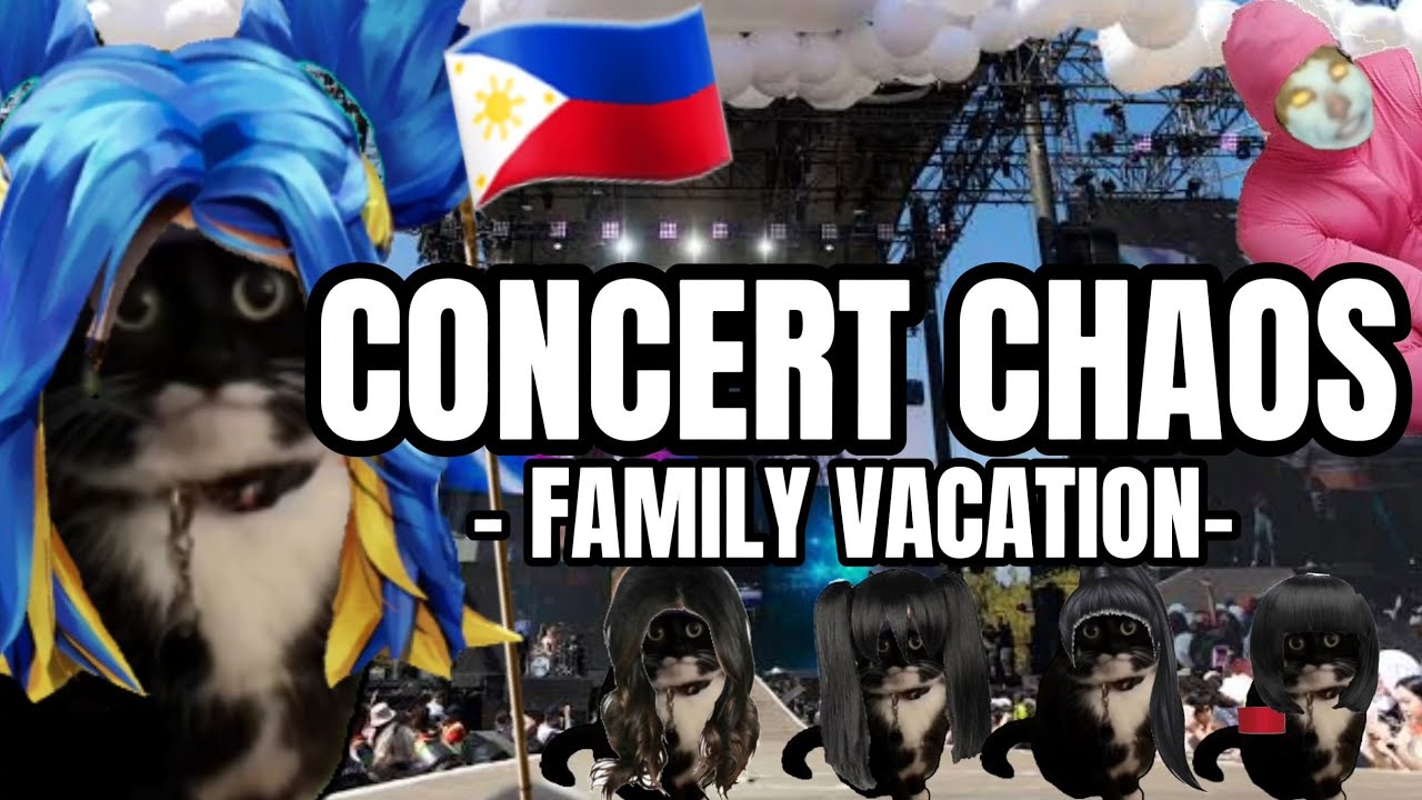 CAT MEMES: CONCERT CHAOS - YouTube