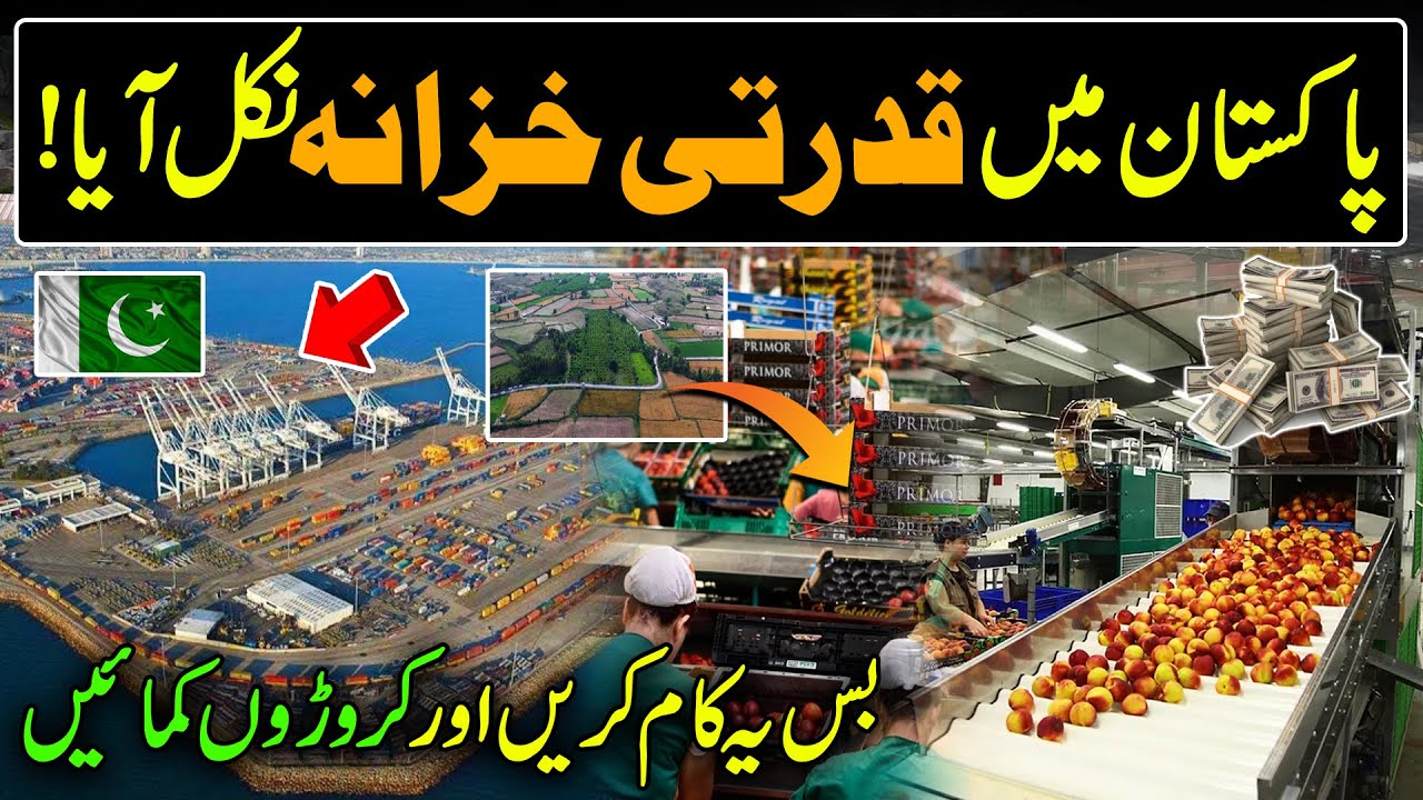 Most Advanced Billion Dollars Industry In The World | Nectarine Farming ...