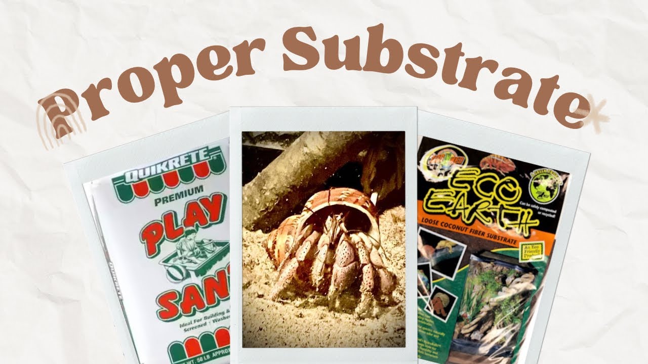 Proper Substrate - YouTube