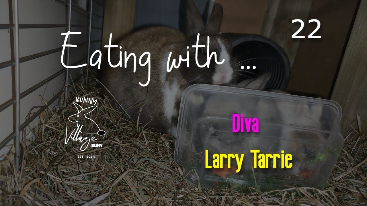 Eating With Diva and Babies (First Time Fresh Food) #feed #eating #food ...