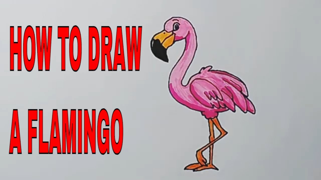 how to draw flamingo in 1 minute - YouTube