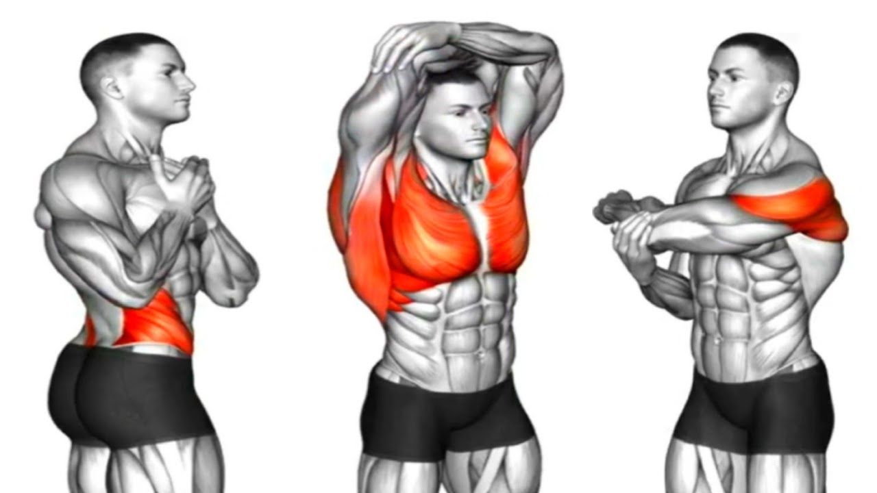 Morning Exercises For Men ( Standing Only) - YouTube