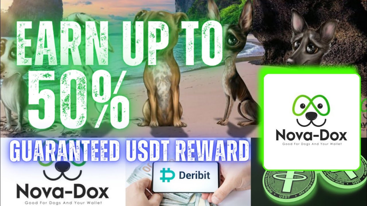 NOVA-DOX UNIQUE NFT CONCEPT! X DERIBIT PARTNER - YouTube