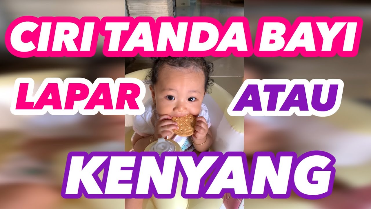 CIRI TANDA BAYI ANDA LAPAR ATAU KENYANG ???? PART 2 USIA 6-2 TAHUN ...