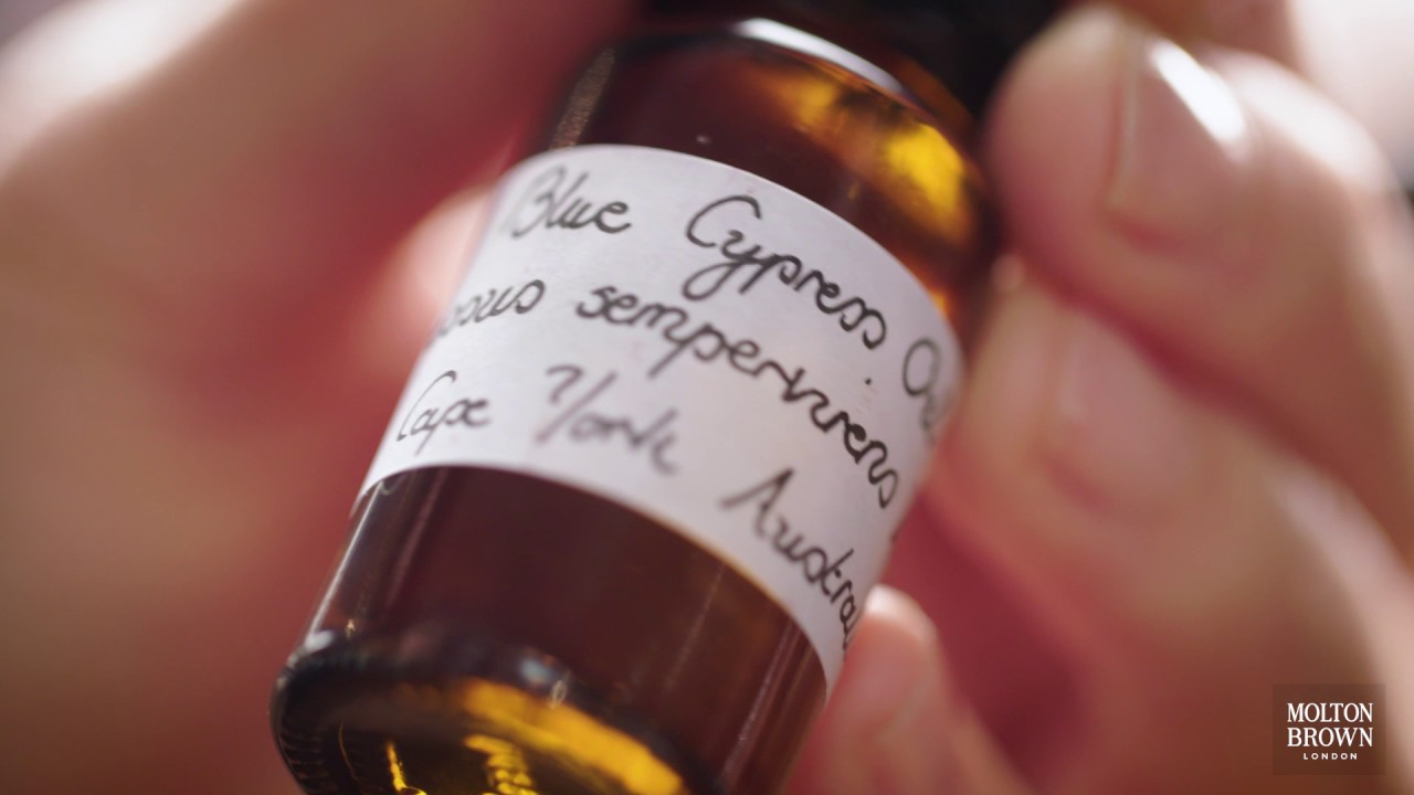 Senior Perfumer Carla Chabert on Coastal Cypress & Sea Fennel | Molton ...