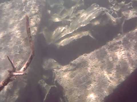 Diving in Falling Rock Park May '07 - YouTube